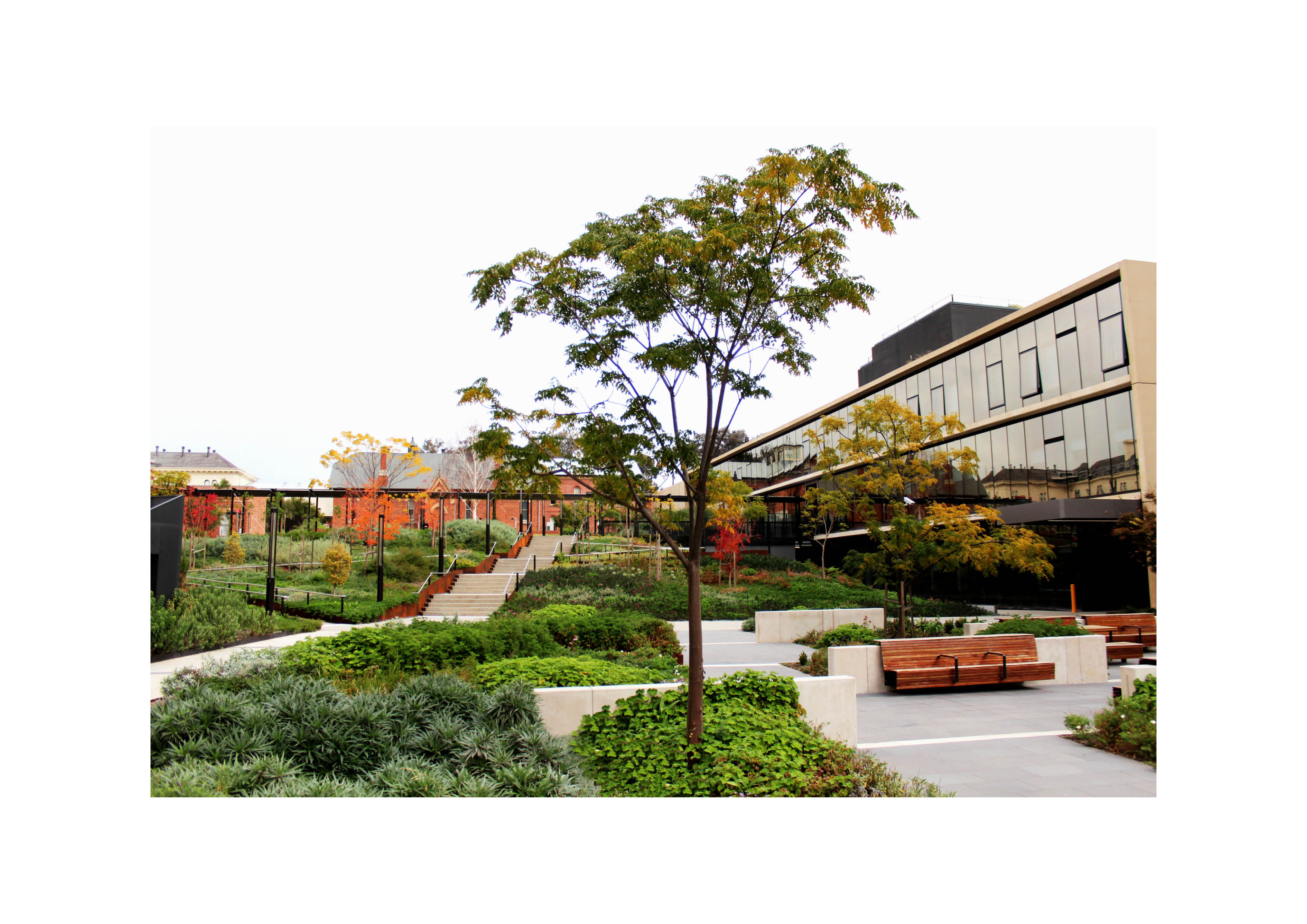 Bendigo Hospital Project - Good Design