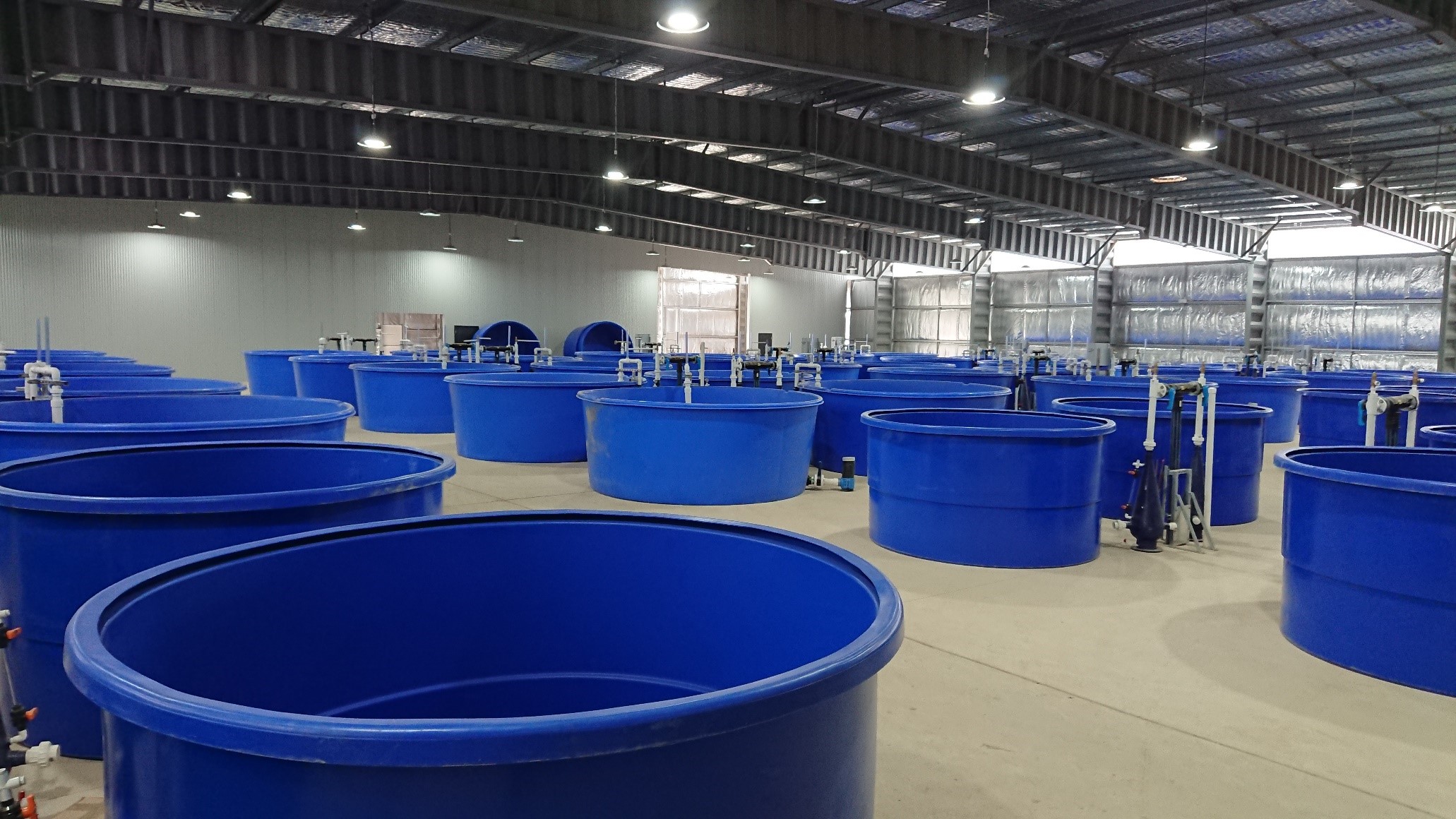 Sustainable Organic Production - Good Design