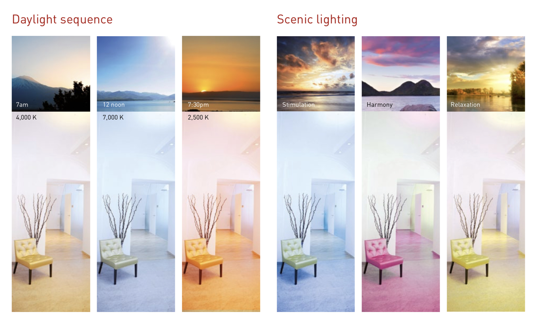 Wellness / Circadian Rythmn Lighting System - Good Design