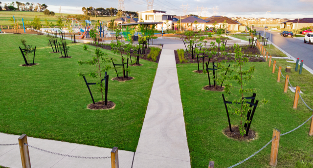 Tree Coach flexible tree staking system - Good Design