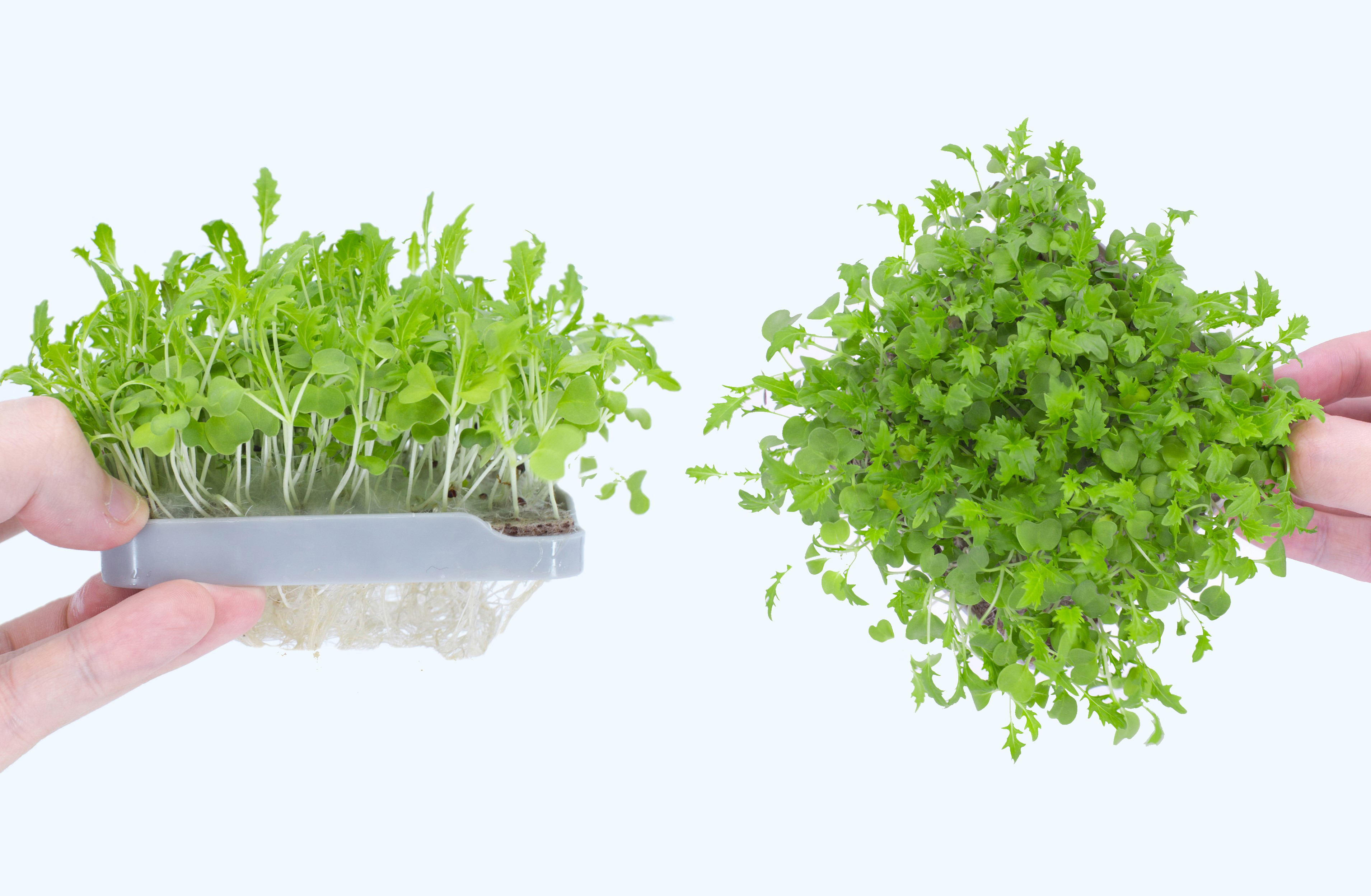 Micropod - Good Design