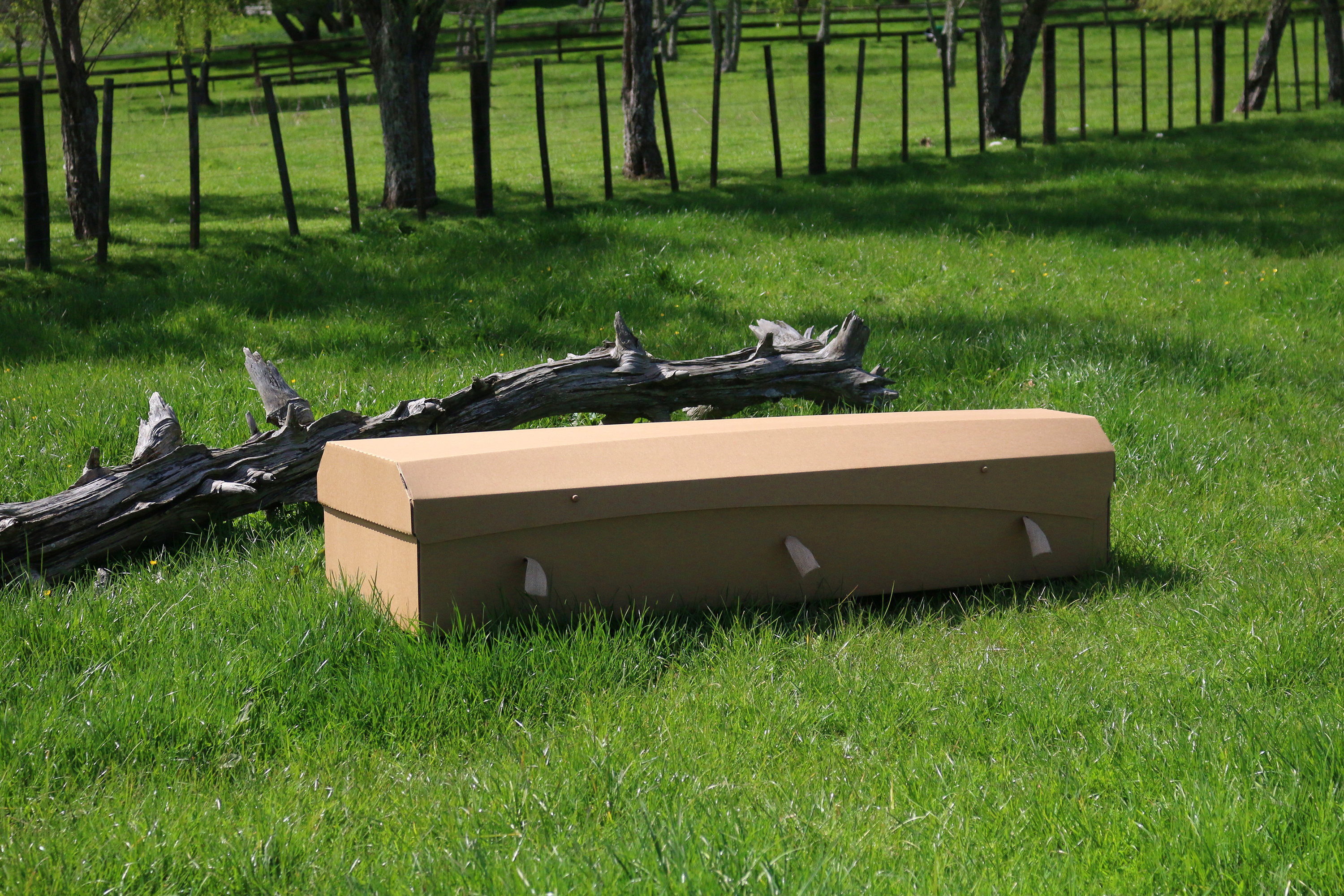 Outside The Box Caskets - Good Design