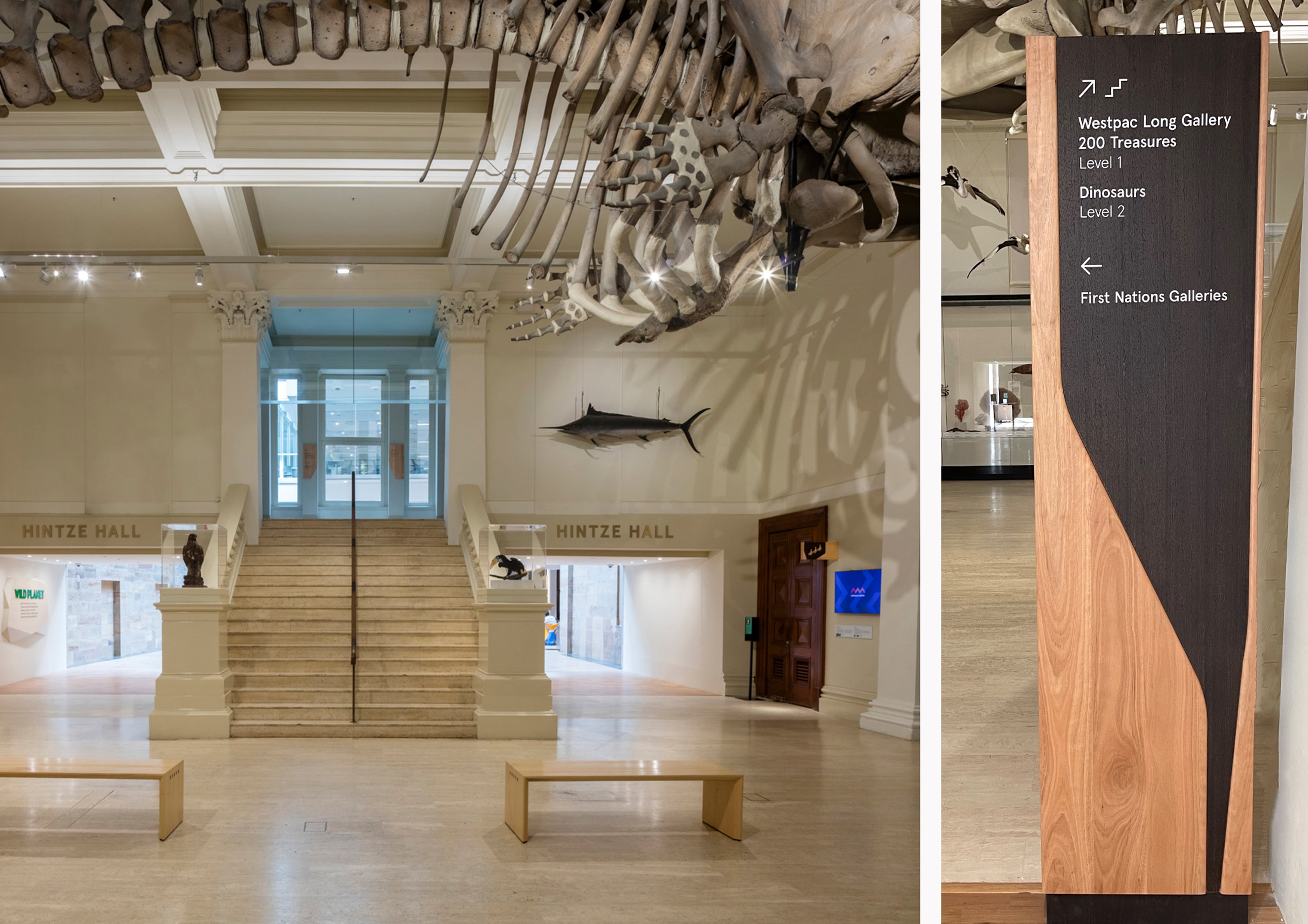 Australian Museum - Good Design