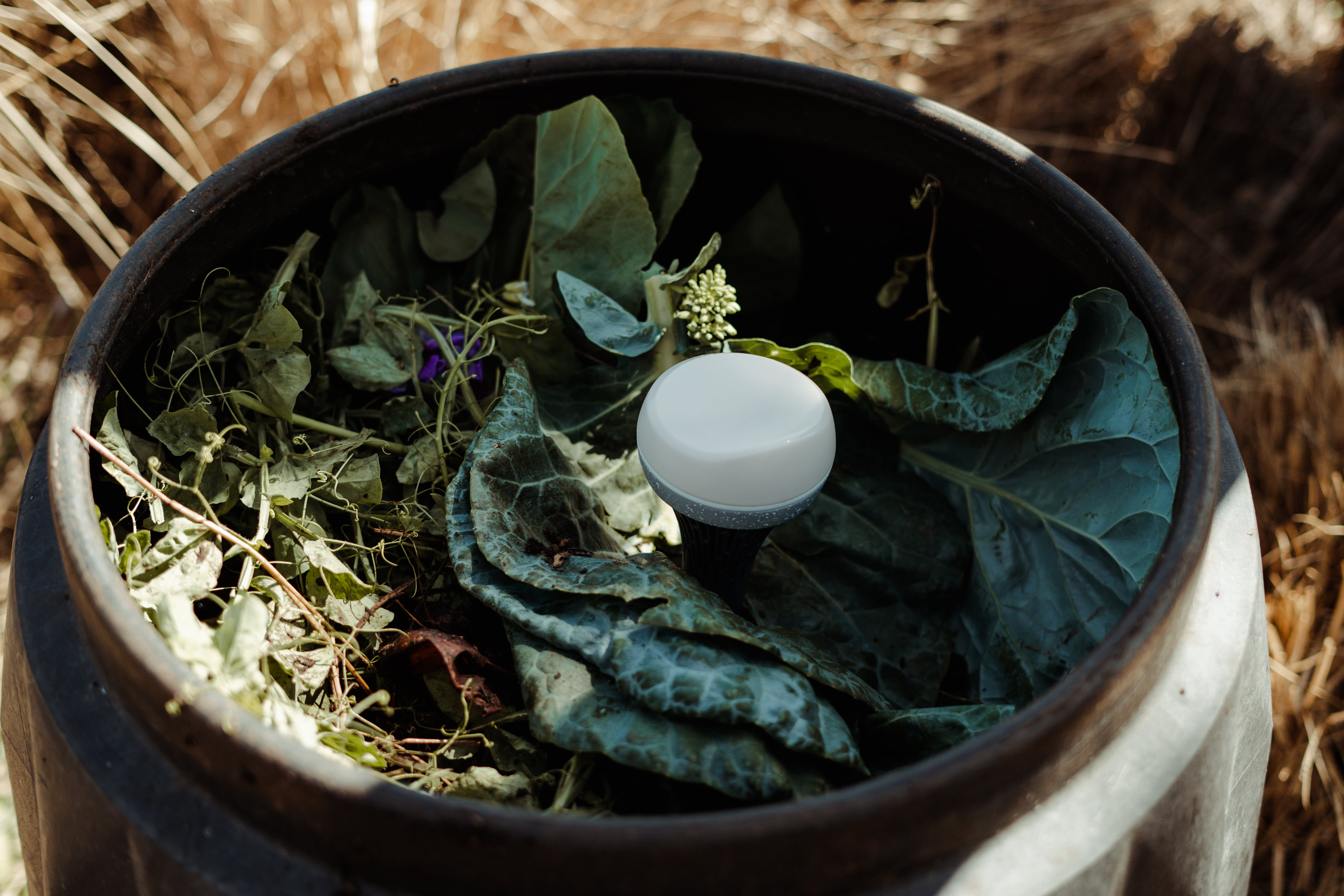 Monty - Smart Compost Monitor - Good Design